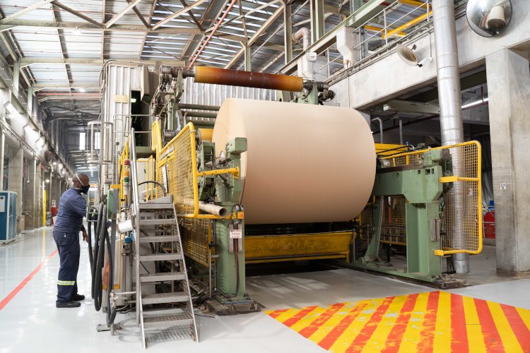 South African paper producer extends partnership with ABB to upgrade ...